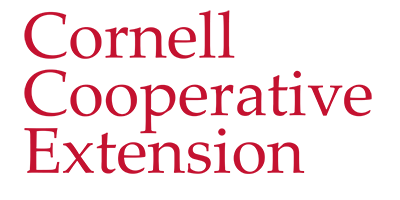 ERP Implementation - Cornell Cooperative Extension and Acumatica